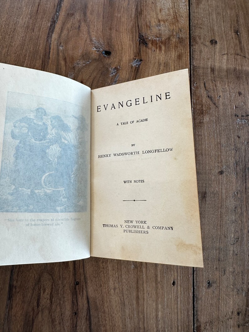 Antique Book, Evangeline, A Tale of Acadie, Henry Wadsworth Longfellow ...