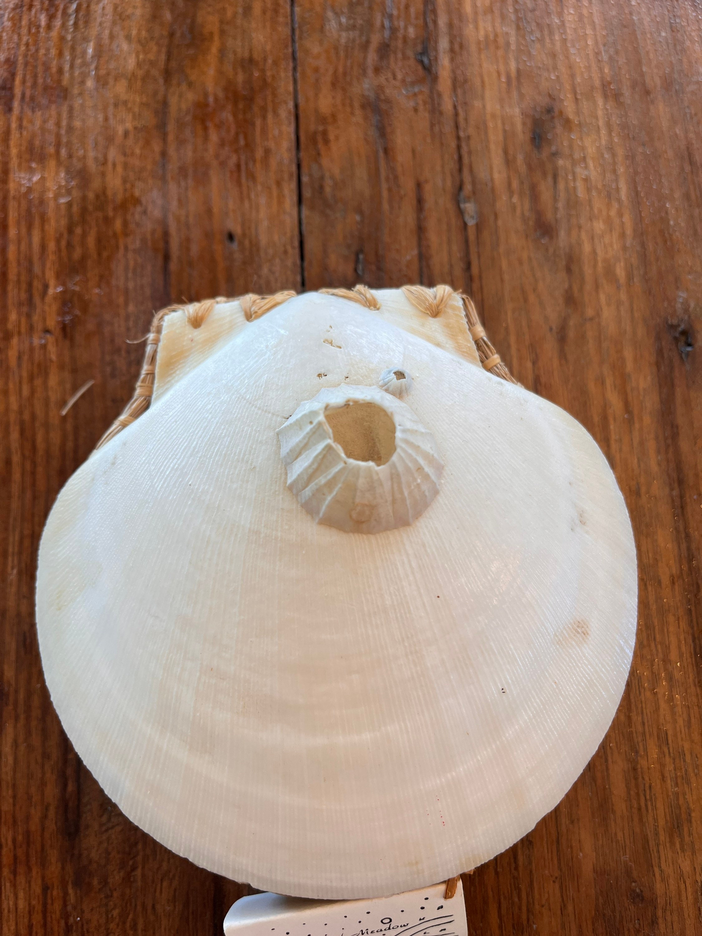 Vintage Hand-made Scallop Shell Box, Hand Sewn Sweet Grass and Rafia ...