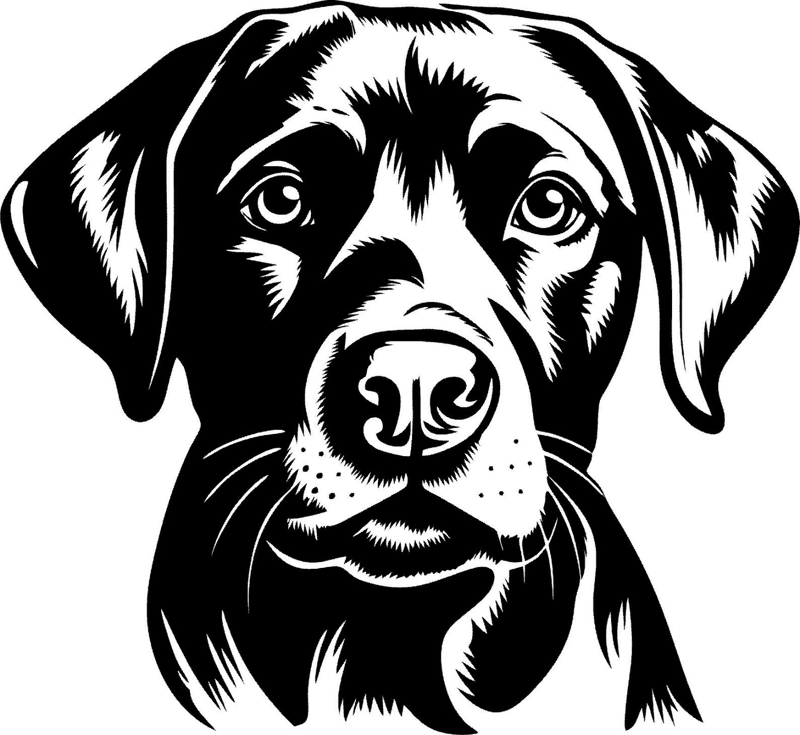 DIGITAL Labrador Face Vector File Clipart, Instant Download, Cutting ...