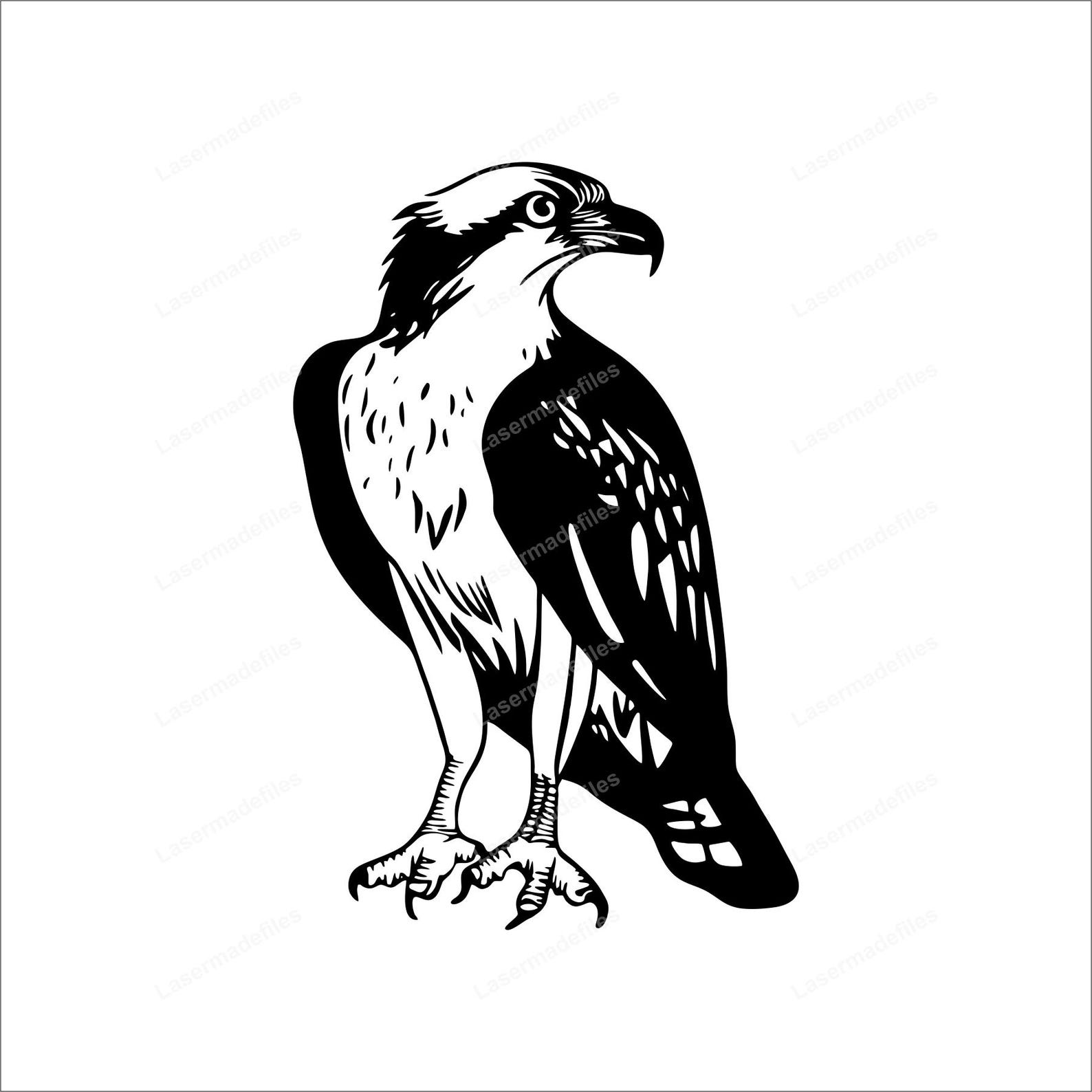 Osprey Digital Vector File Laser Cut File, Instant Download .svg, .ai ...