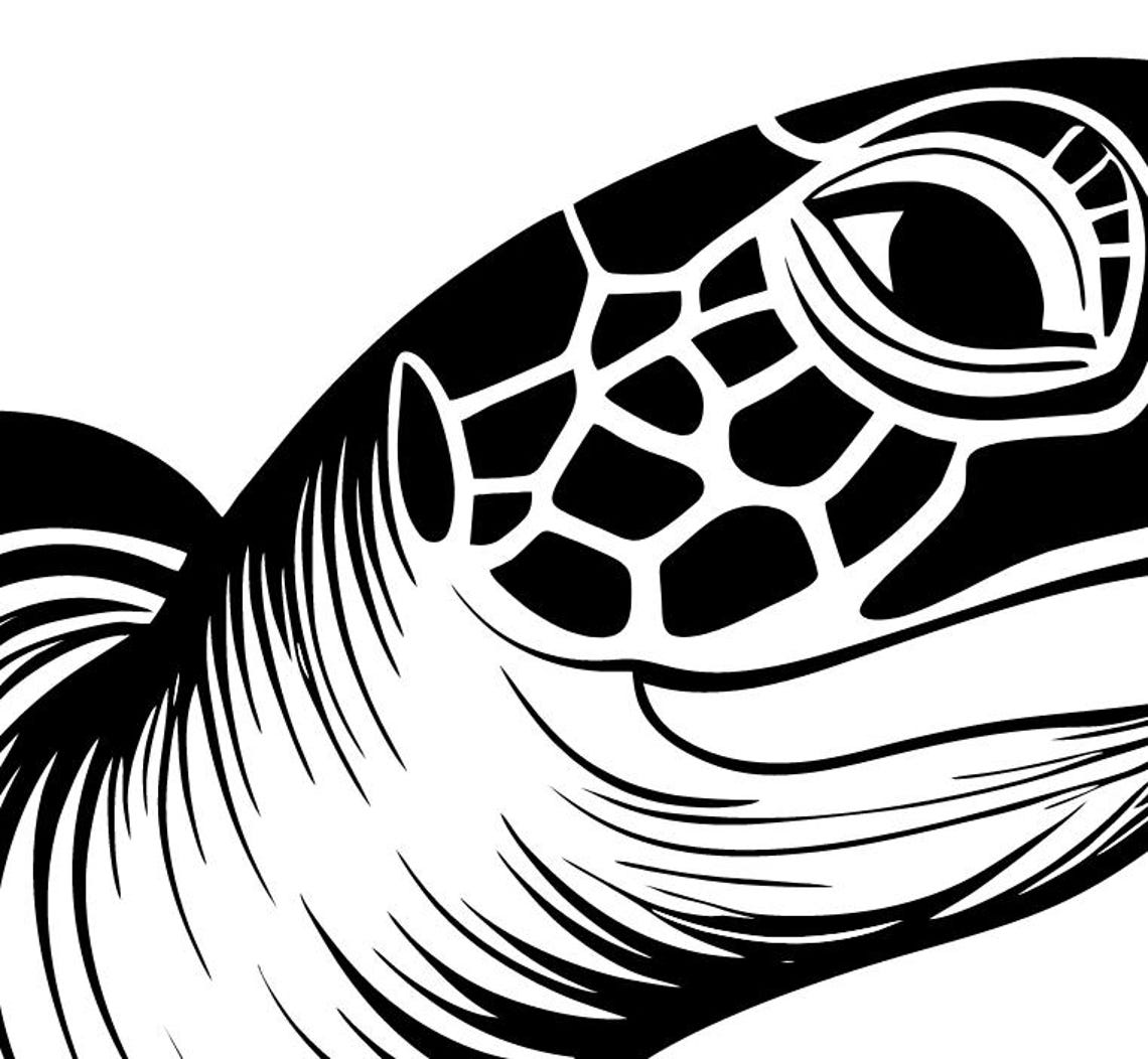 Sea Turtle DIGITAL Laser Cut File, Instant Download .svg, .ai, .cdr ...