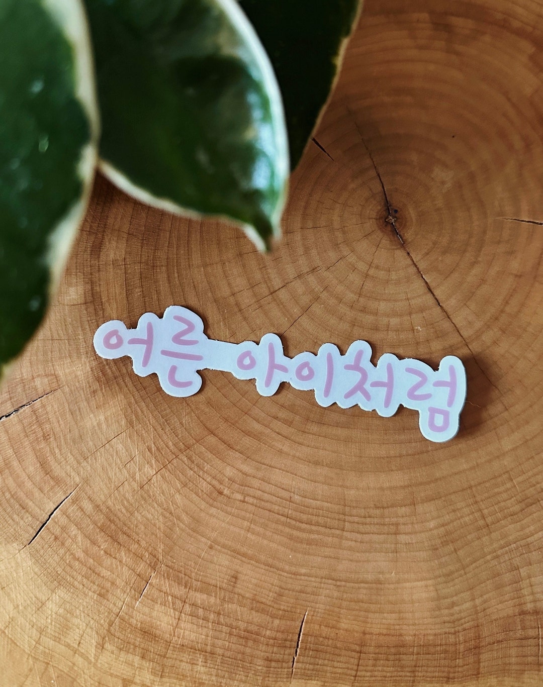 Like a Kidult (“어른 아이처럼”) (kidult - Seventeen) Vinyl Sticker - Etsy