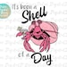 Funny Hermit Crab PNG, Shell of A Day, Hermit Crab Design for ...