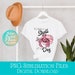 Funny Hermit Crab PNG, Shell of A Day, Hermit Crab Design for ...