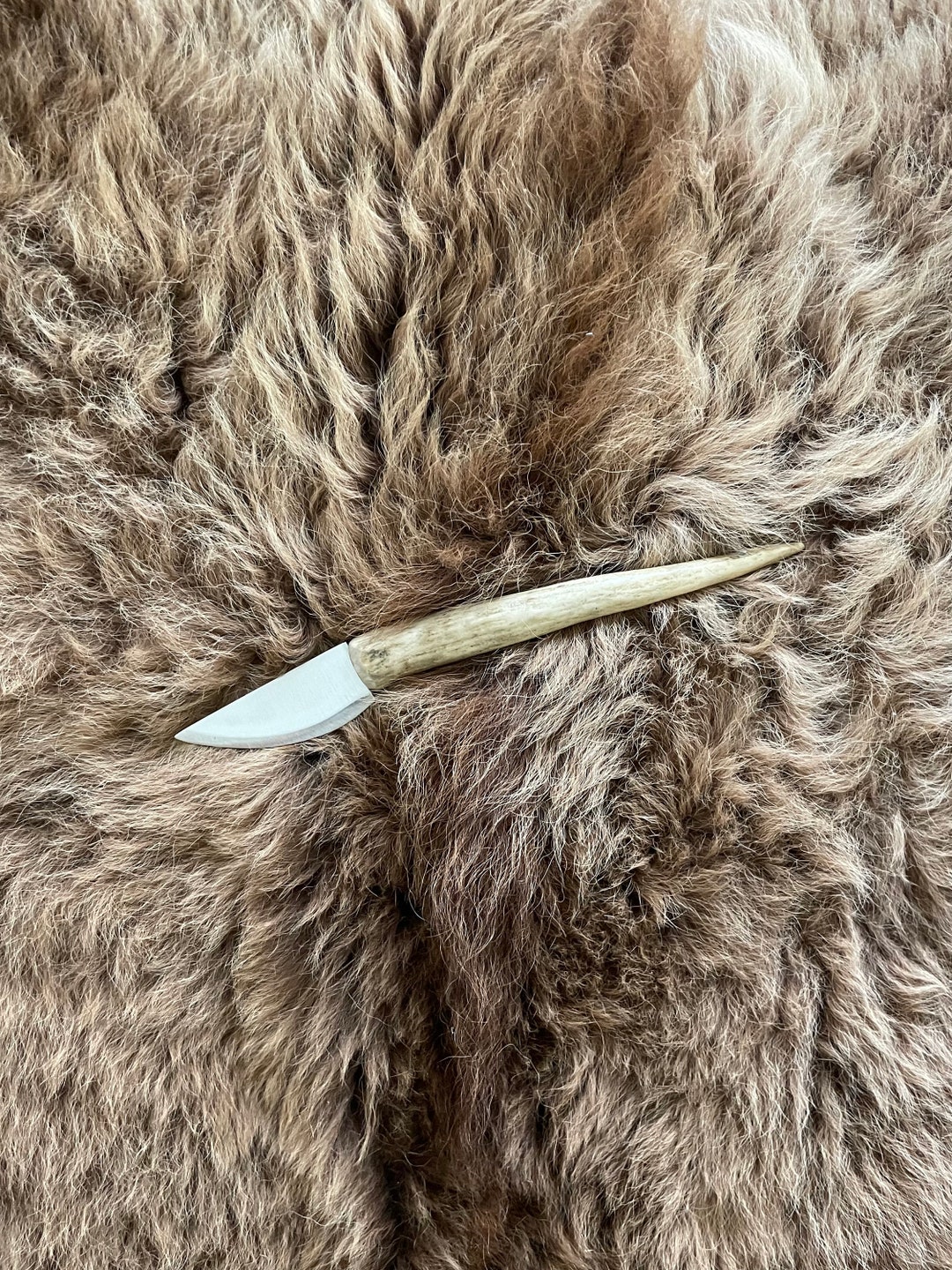 Handcrafted in New York Whitetail Antler Tine Skinning Knife - Etsy