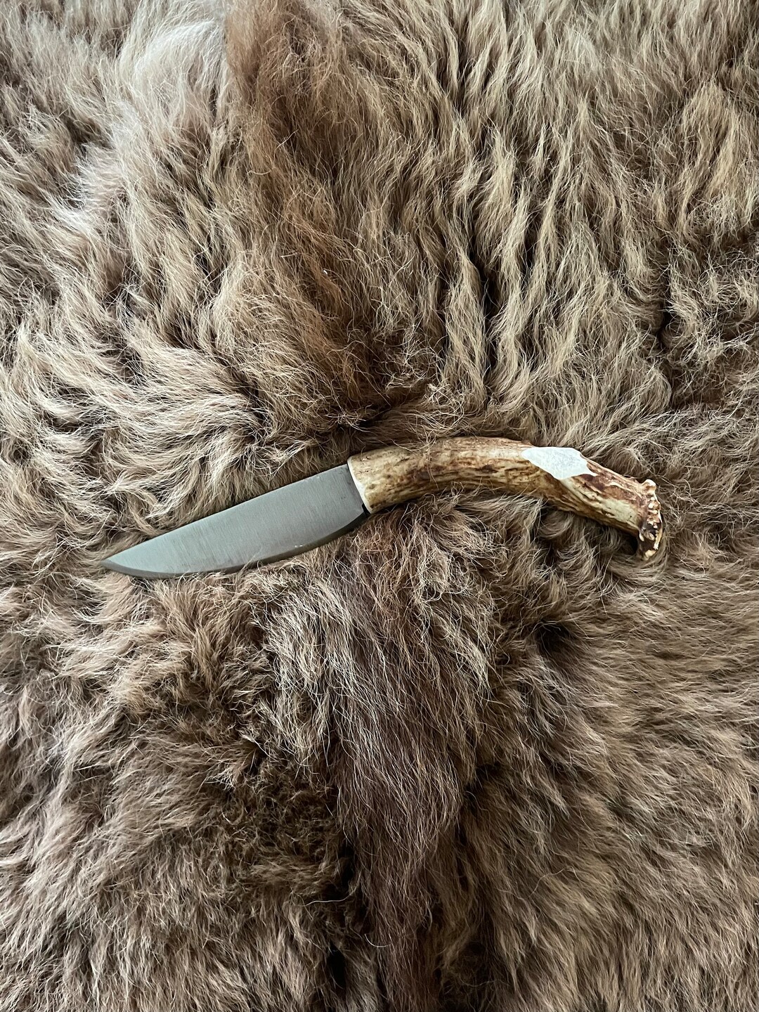 Handcrafted in New York Whitetail Antler Skinning Knife - Etsy