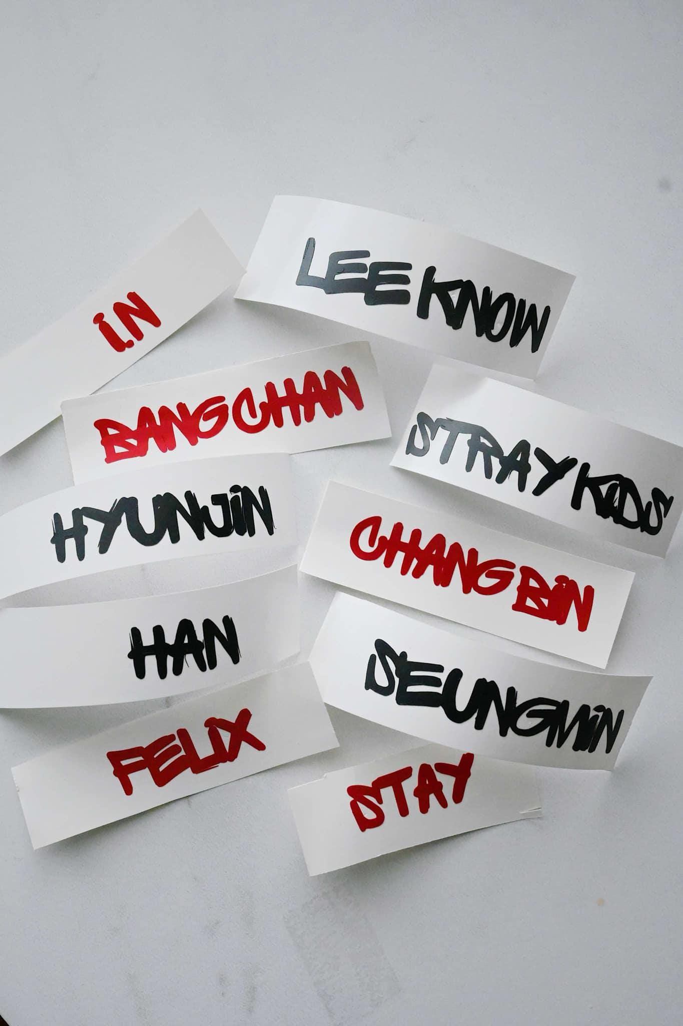 STRAY KIDS Sticker Decal Nachimbong Member Decal Lightstick Decal SKZ ...