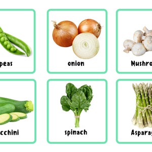 Printable Vegetable Flashcards. Instant Download. PDF File. - Etsy
