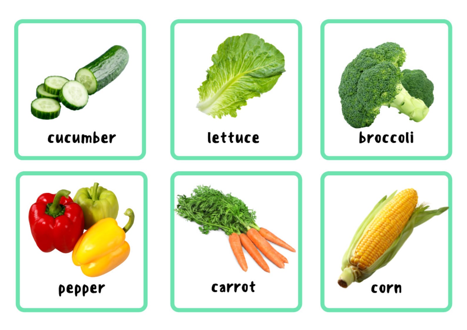 Printable Vegetable Flashcards. Instant Download. PDF File. - Etsy