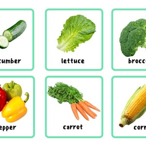 Printable Vegetable Flashcards. Instant Download. PDF File. - Etsy