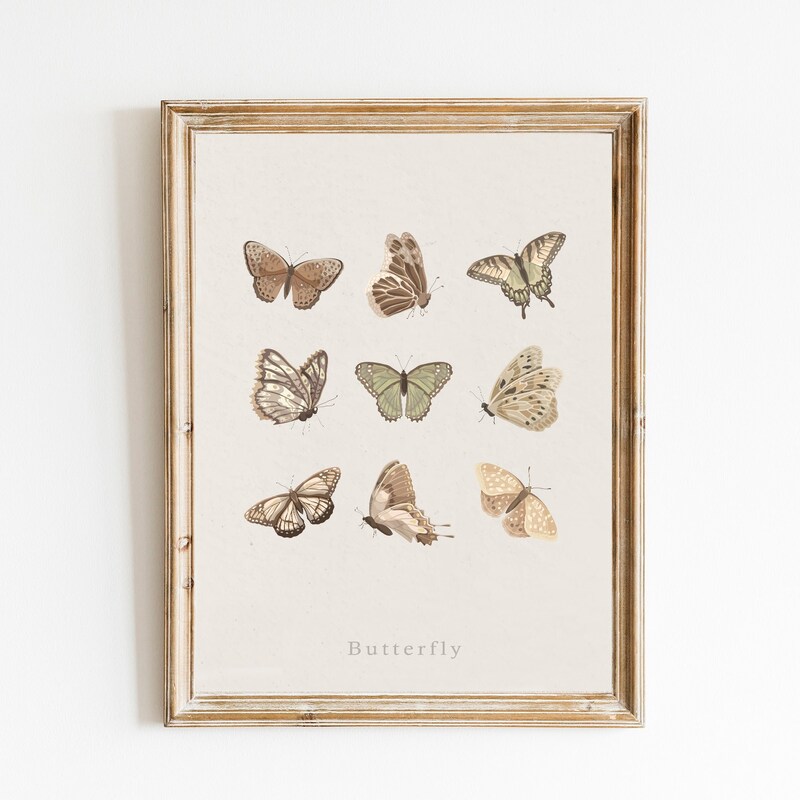 Butterfly Poster - Etsy