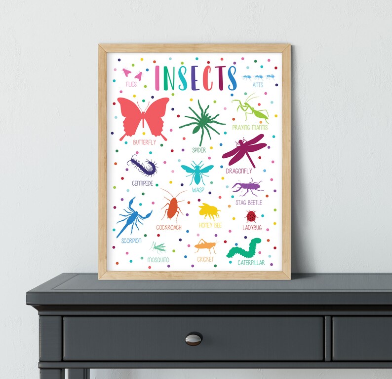 Insects Montessori Poster, Bugs Educational Print (digital Download) - Etsy