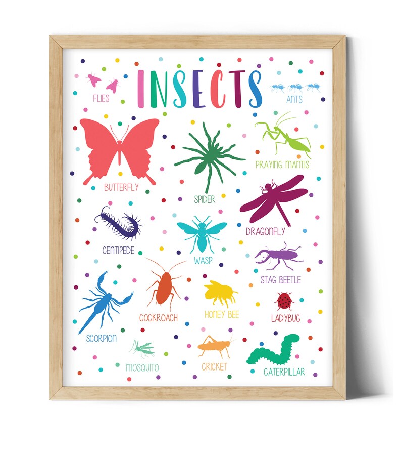 Insects Montessori Poster, Bugs Educational Print (digital Download) - Etsy