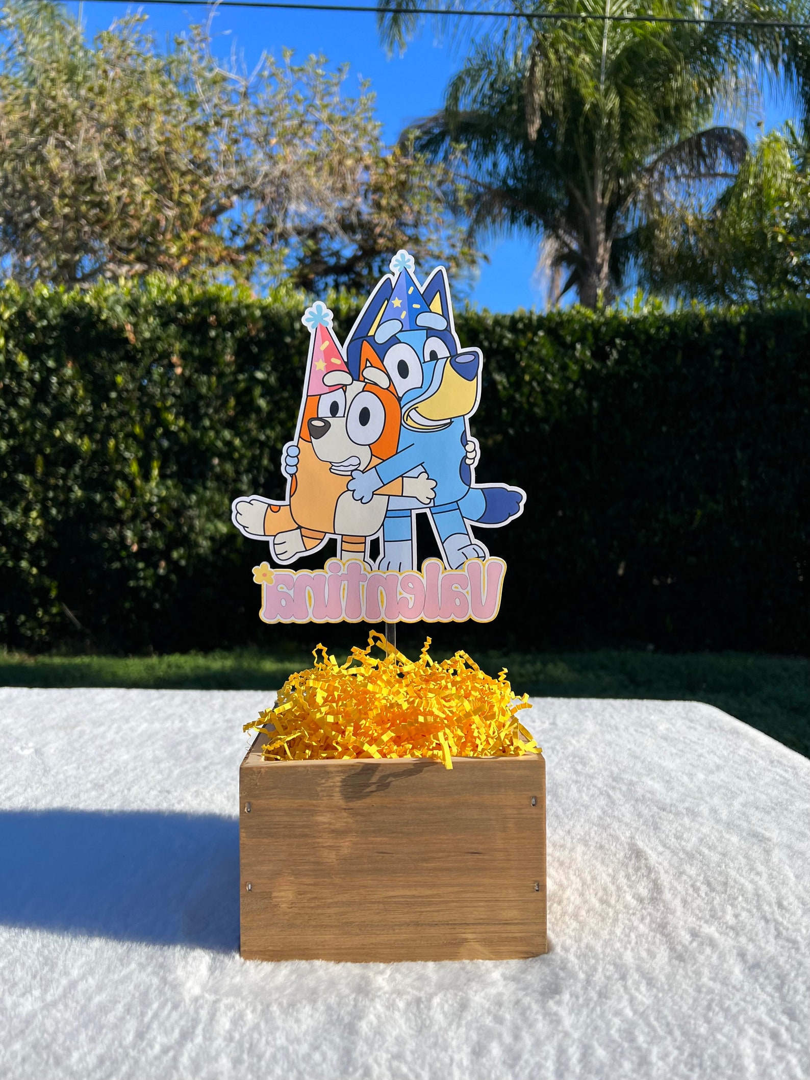 Bluey Centerpiece, Bluey Groovy, Bluey Birthday Party, Bluey Party ...