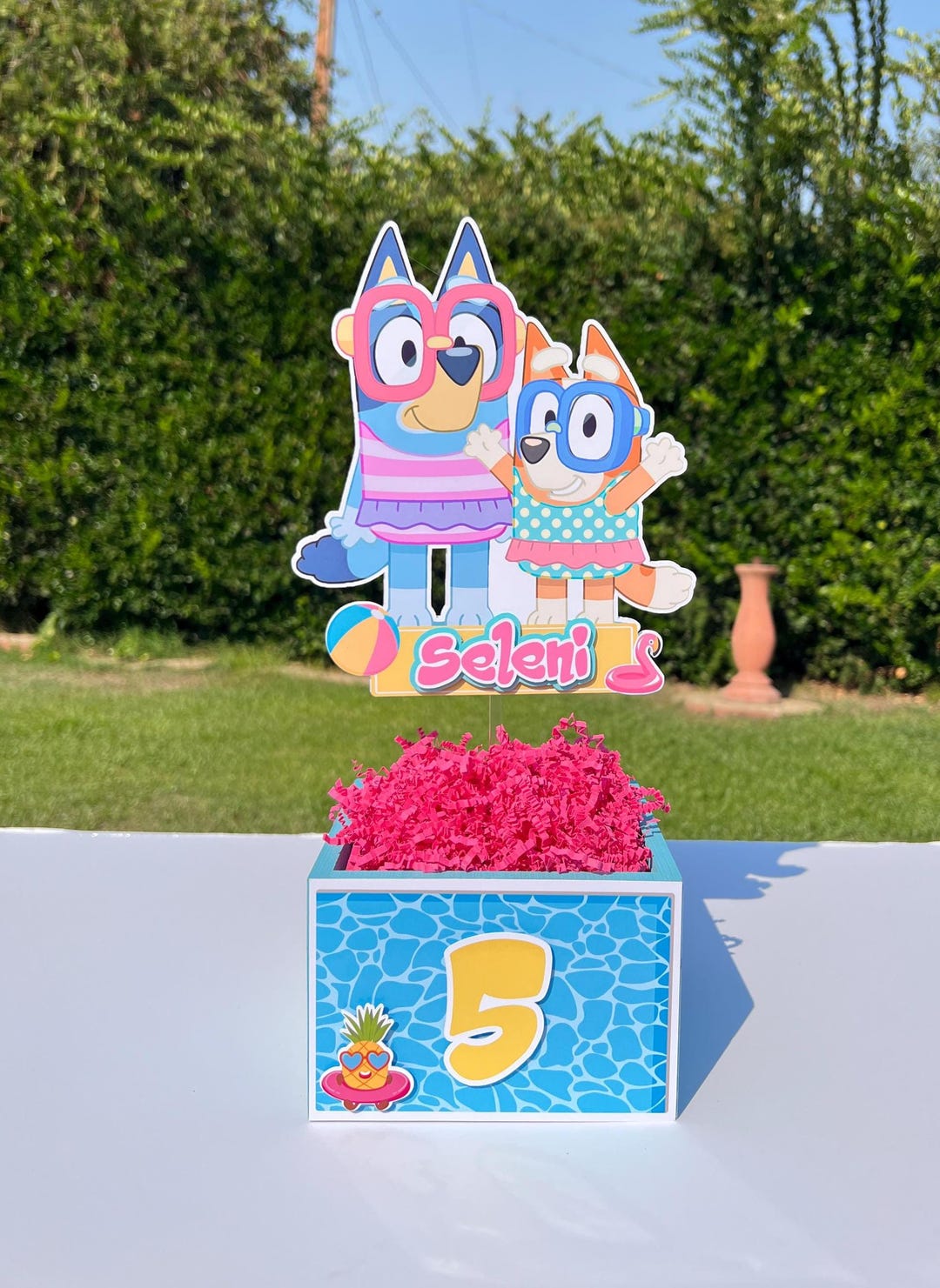Bluey Pool Party, Bluey Summer. Bluey Centerpieces, Bluey Pool Party ...