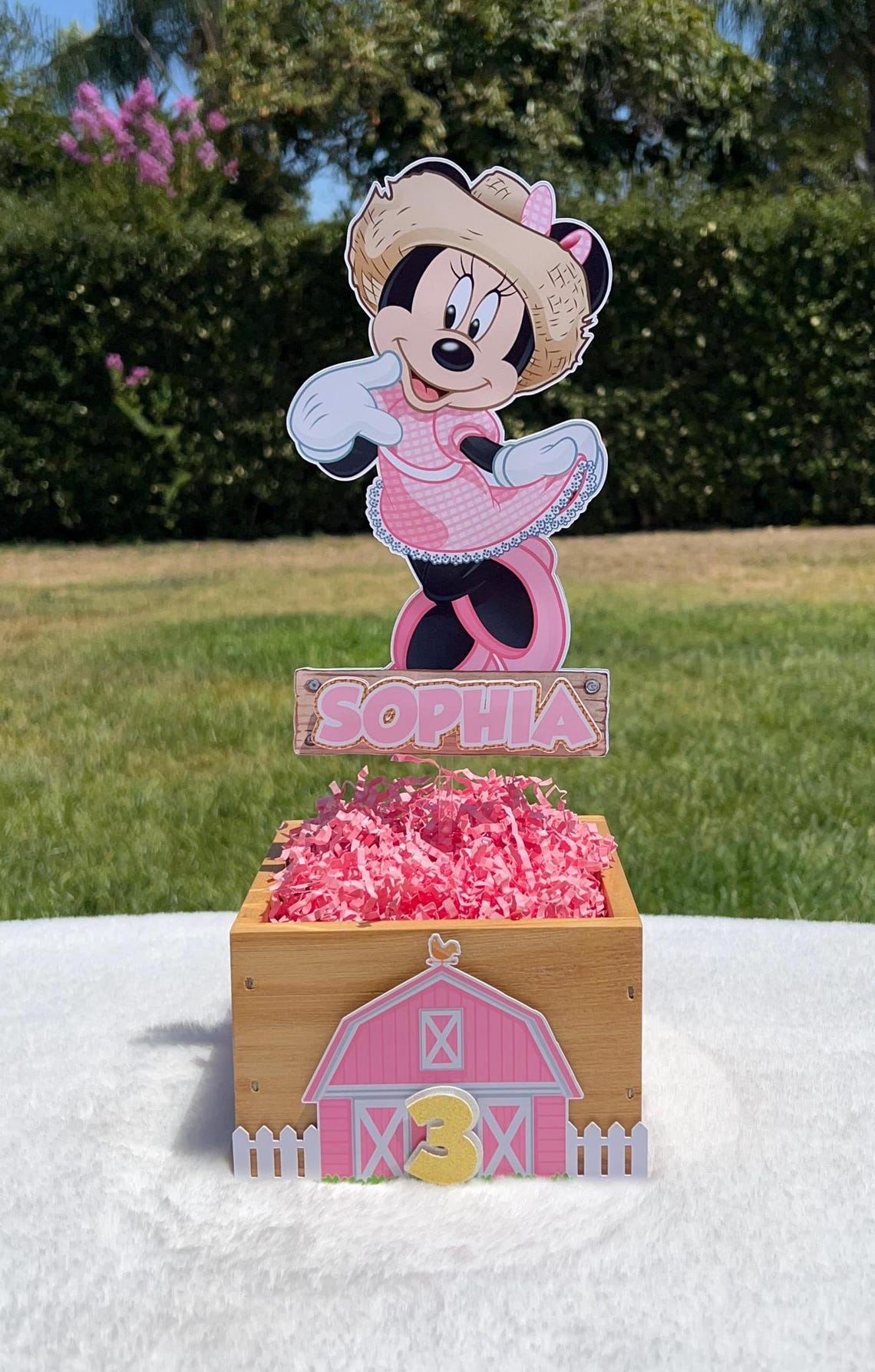 Minnie Mouse, Minnie Mouse Farm, Minnie Mouse Centerpieces, Minnie ...