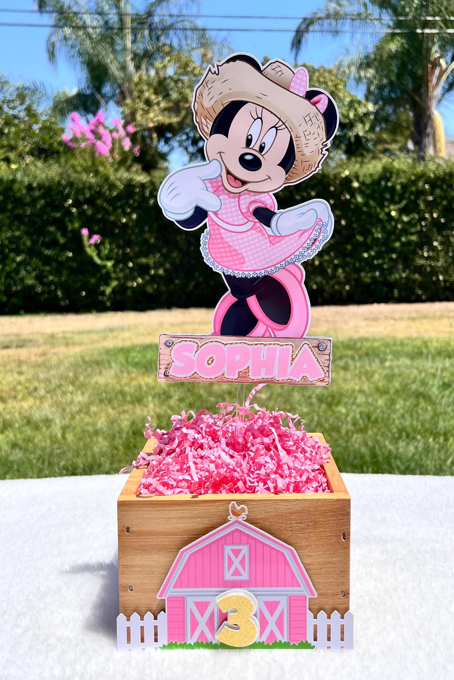 Minnie Mouse, Minnie Mouse Farm, Minnie Mouse Centerpieces, Minnie ...