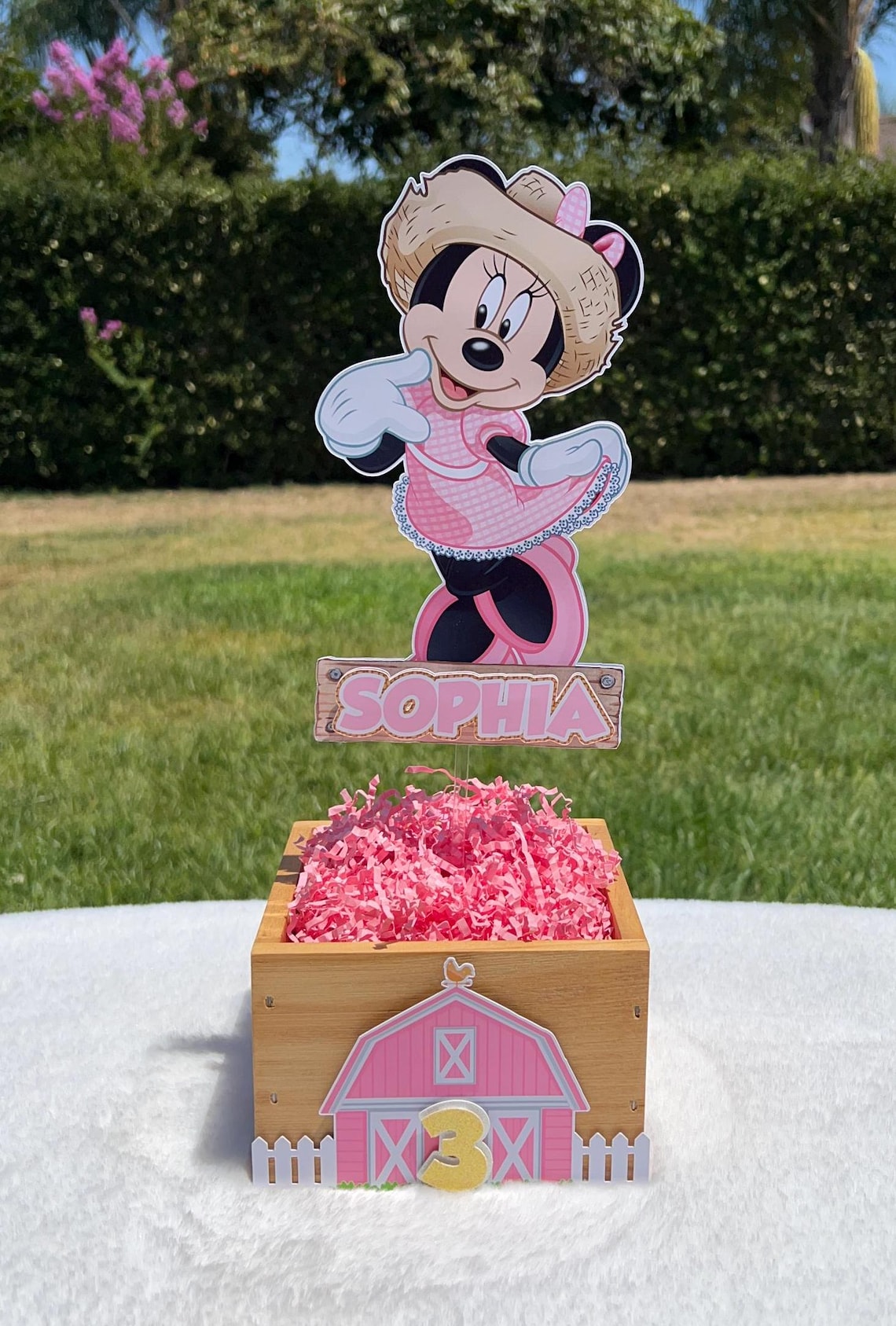 Minnie Mouse, Minnie Mouse Farm, Minnie Mouse Centerpieces, Minnie ...