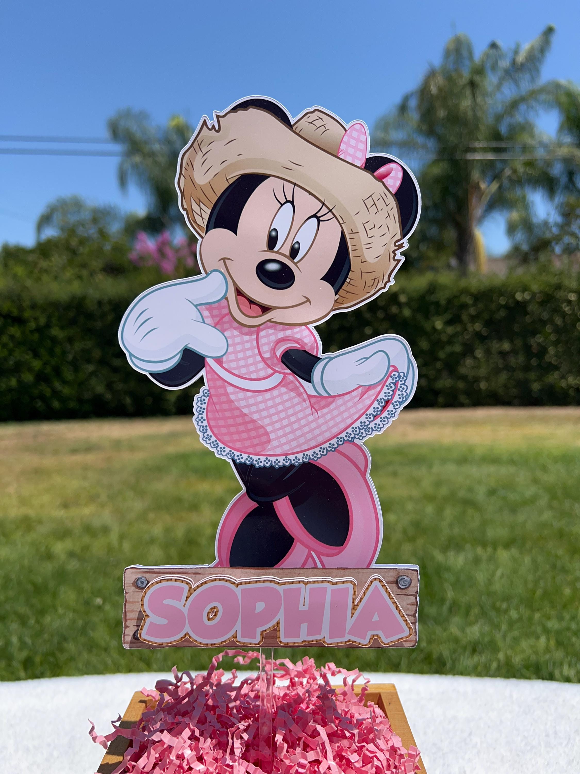 Minnie Mouse, Minnie Mouse Farm, Minnie Mouse Centerpieces, Minnie ...
