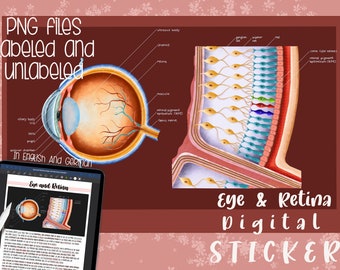 Digital Eye Sticker - Etsy