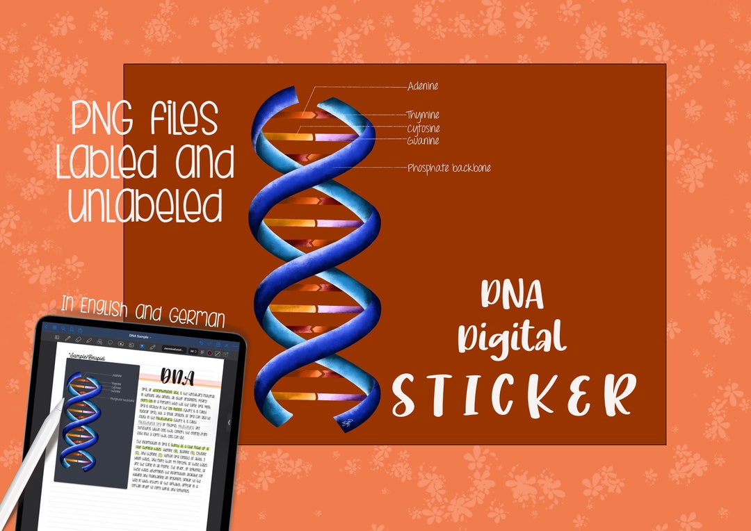 Digital Sticker DNA Biology | Digital Notes | Goodnotes | Printable ...