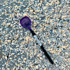 Shell Scoop, Rock Hunt Scoop, Shark Tooth Sifter, Sand Scoop, Rock ...