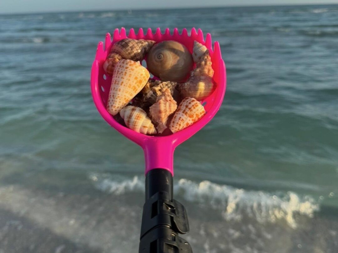 Shell Scoop, Rock Hunt Scoop, Shark Tooth Sifter, Sand Scoop, Rock ...