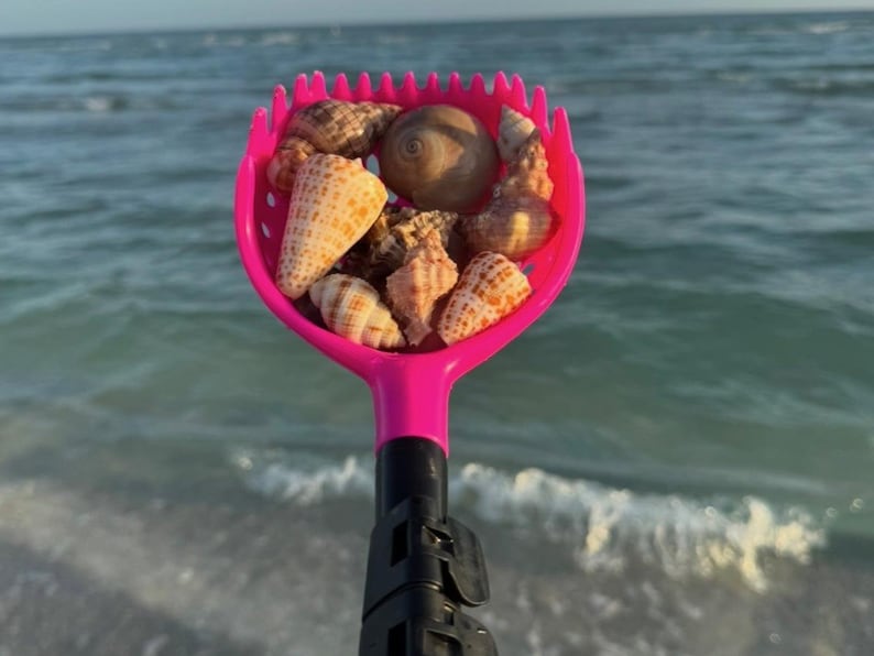 Shell Scoop, Rock Hunt Scoop, Shark Tooth Sifter, Sand Scoop, Rock ...