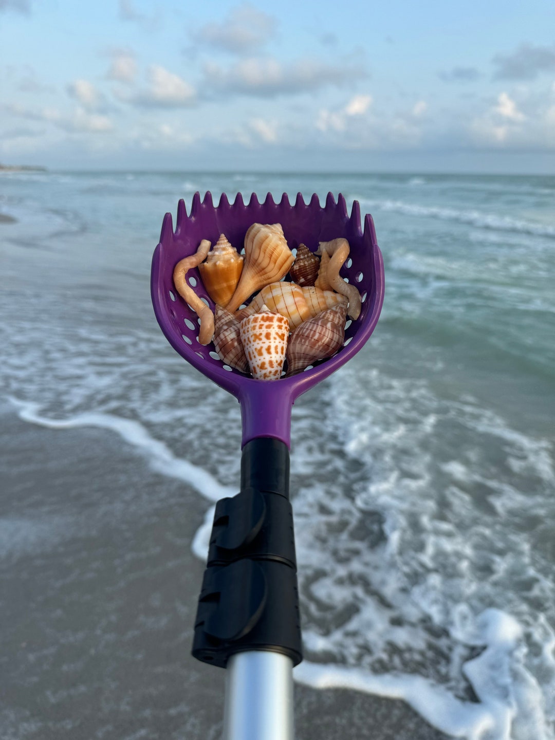 Shell Scoop, Rock Hunt Scoop, Shark Tooth Sifter, Sand Scoop, Rock ...