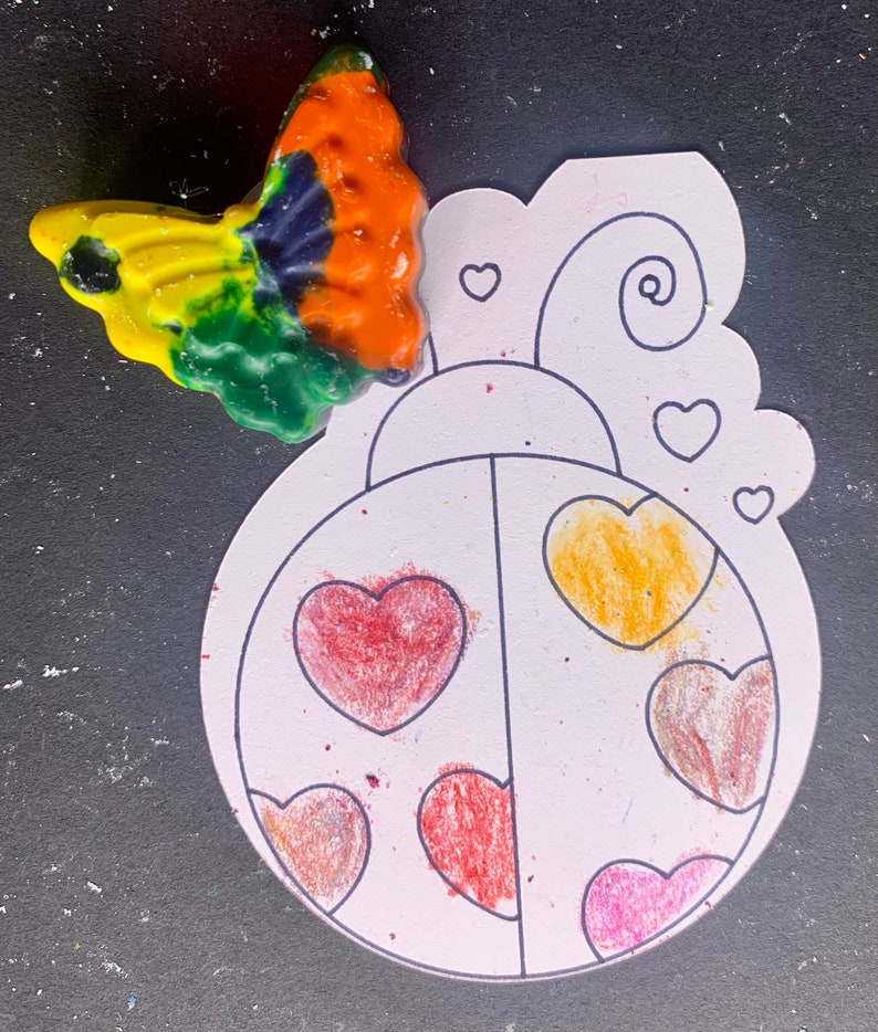 Summer Insects Mini Crayon Set - Etsy