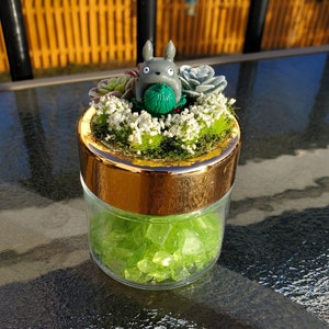 Totoro Terrarium - Etsy