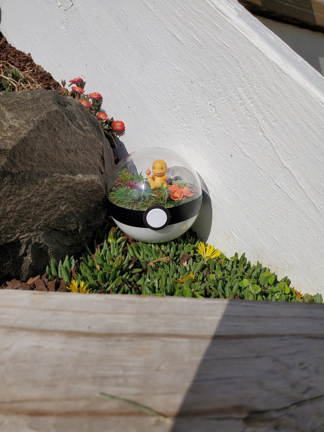 Charmander Terrarium - Etsy