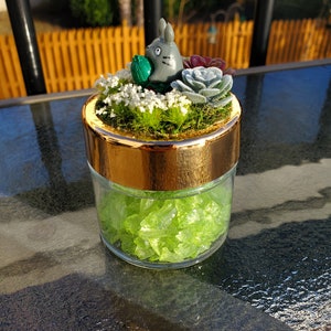 Totoro Terrarium - Etsy