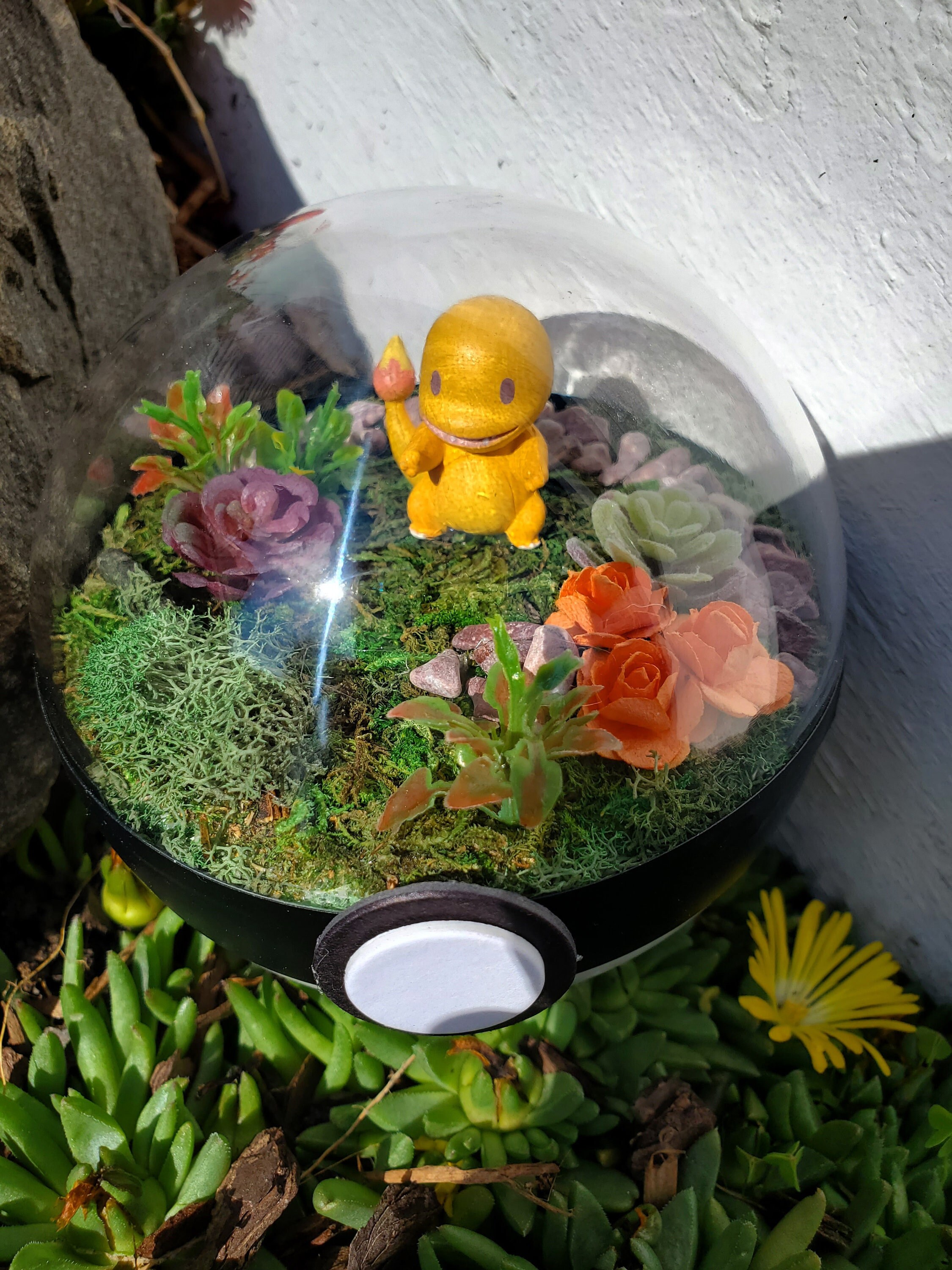 Charmander Terrarium - Etsy