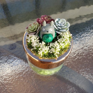 Totoro Terrarium - Etsy