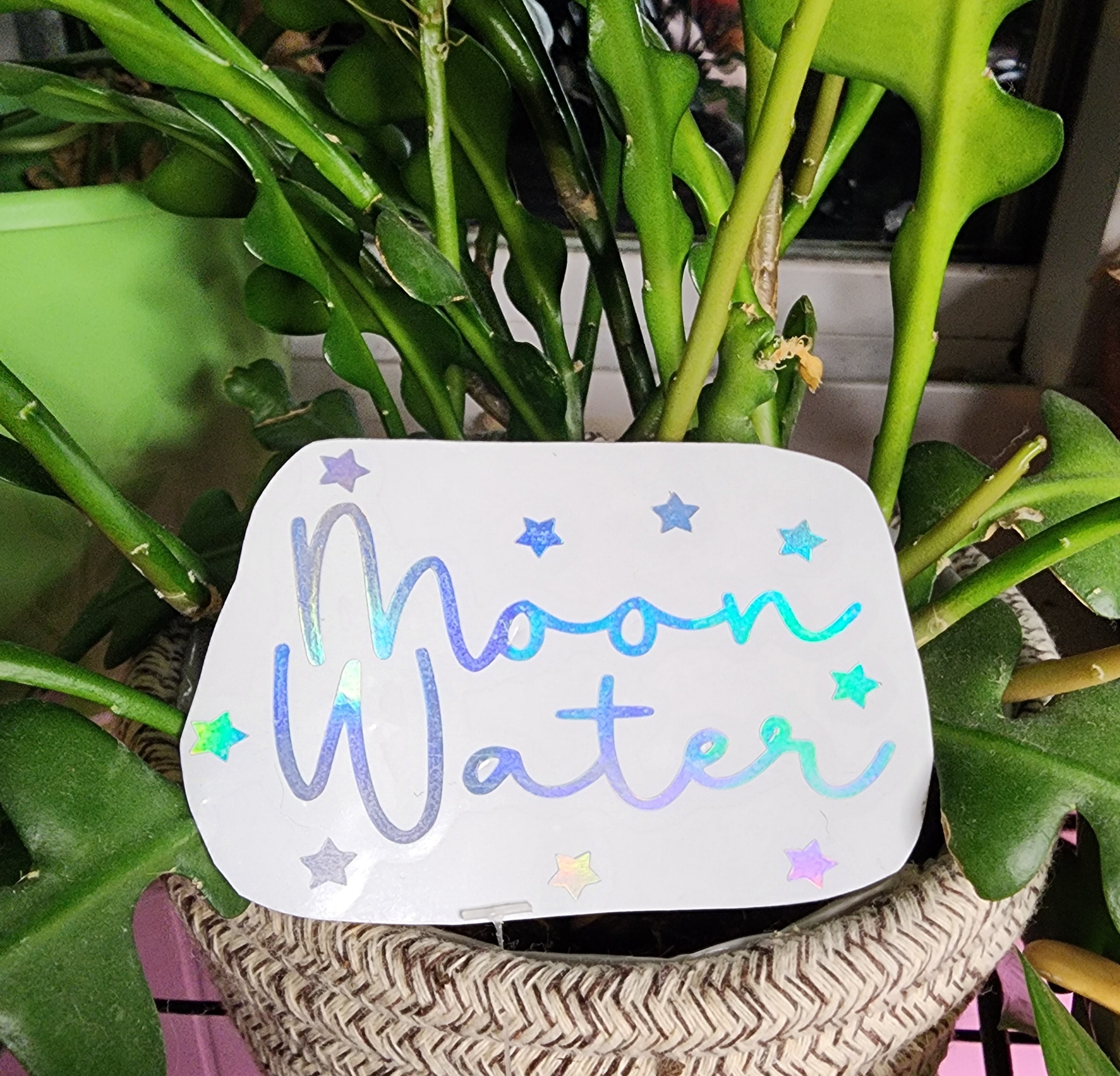 Moon Water Vinyl Decal - Etsy