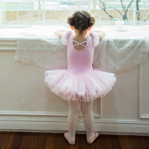 Classic Ballet Tutu Dress - Etsy