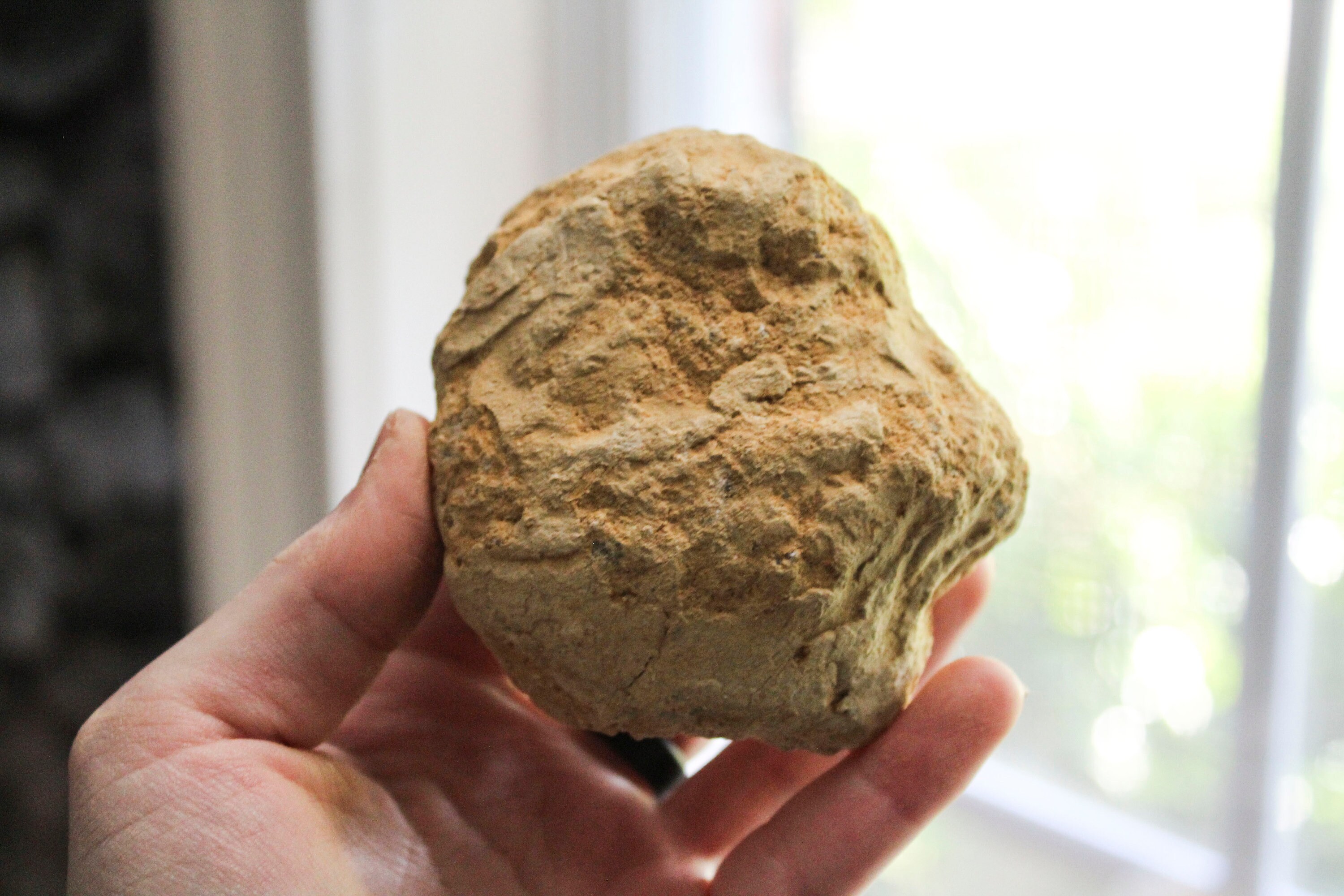 Unbroken Geode Rocks