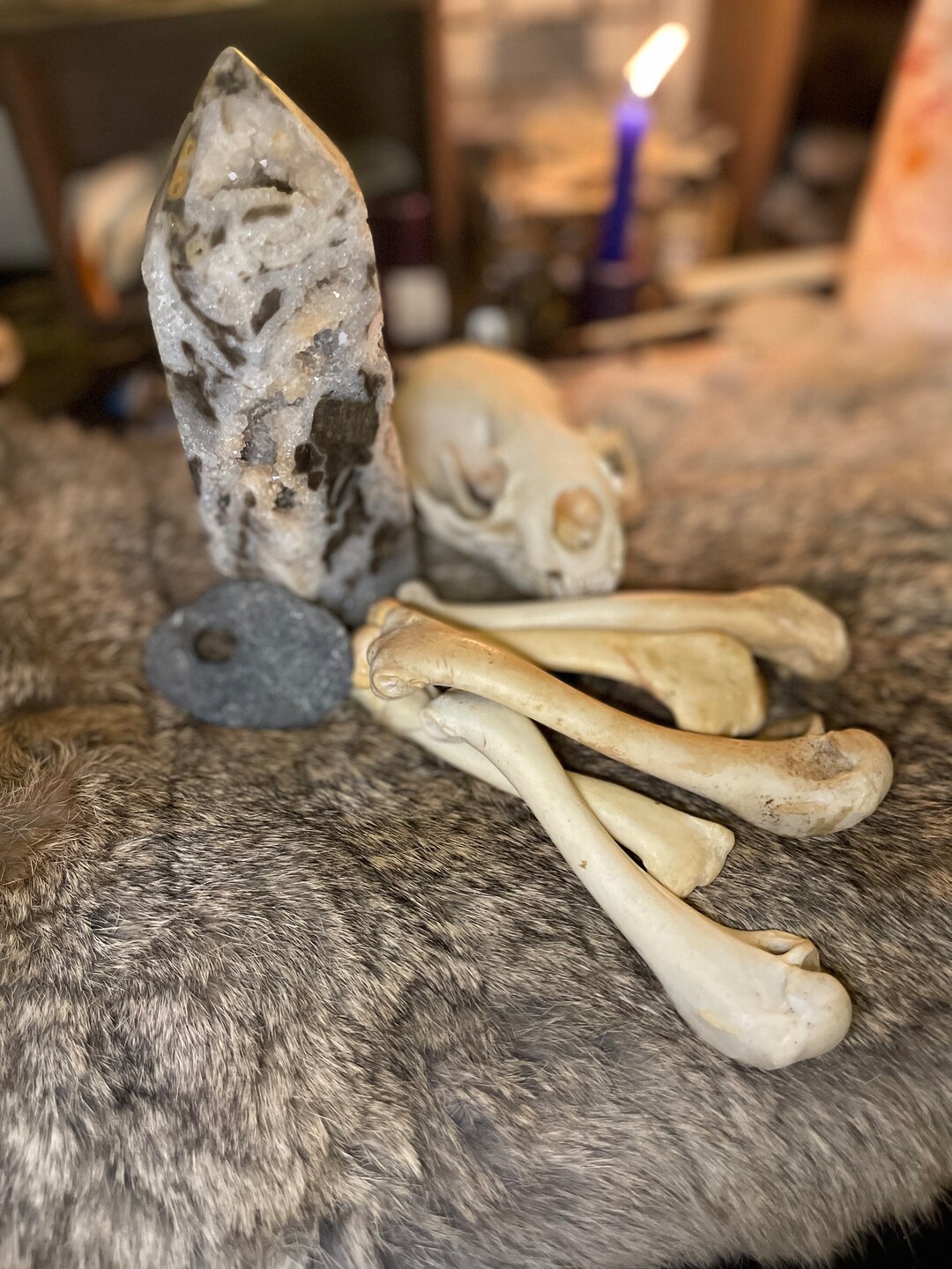 5 Yes or No Questions With Chunky Bones - Etsy