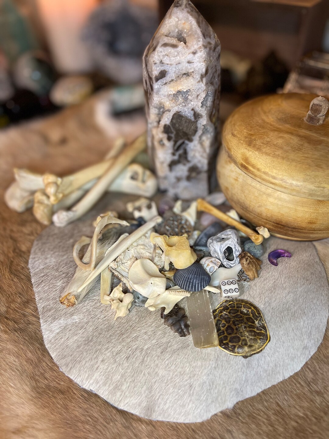Quick Bone Read With Questions - Etsy
