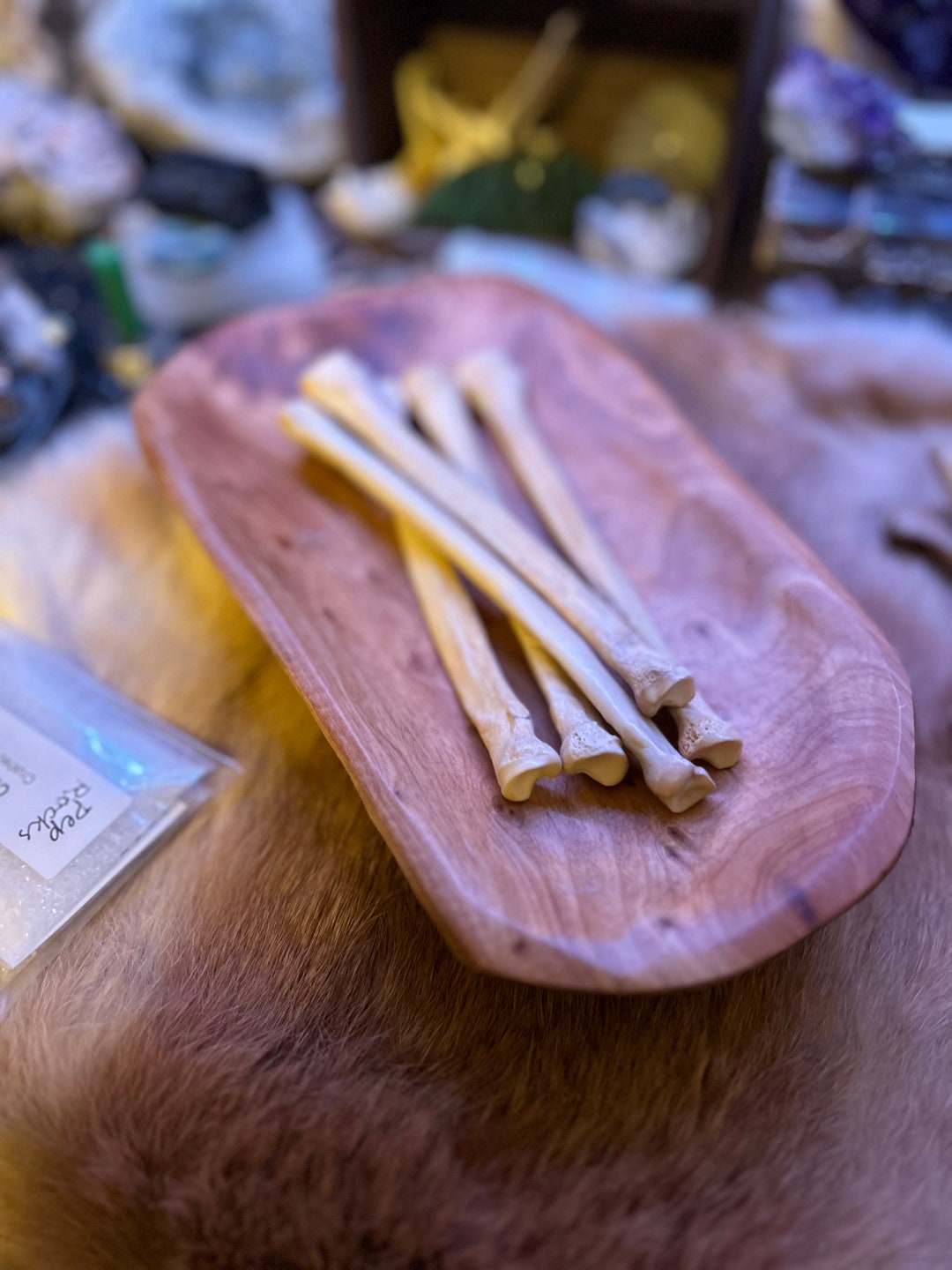 LARGE Coyote Leg Throwing Bones for Osteomancy - Etsy