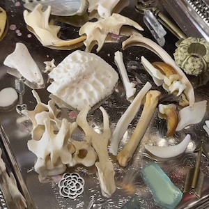 Starter Kit Bone Bag - Etsy