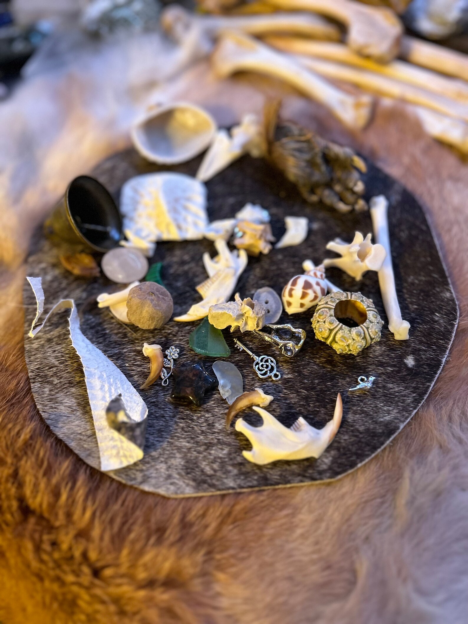 Osteomancy Bone Throwing Set With Over 25 Pieces - Etsy