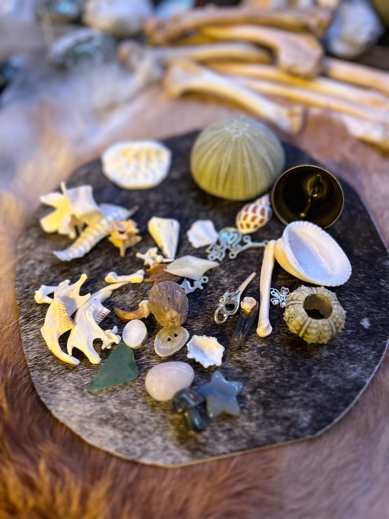 Osteomancy Bone Throwing Set With Over 25 Pieces - Etsy