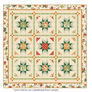 Hot Cider Quilt Kit With Pattern by Wendy Sheppard With Some ...