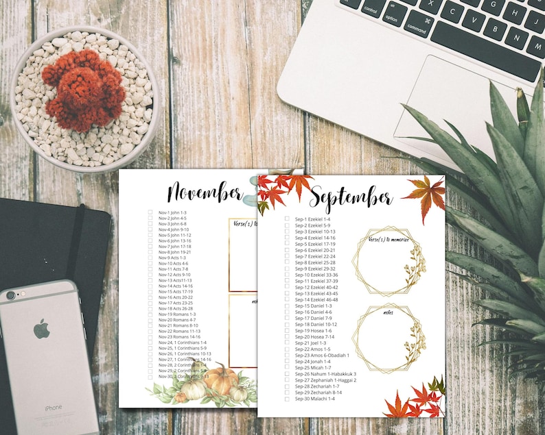 12 Month Bible Reading Plan. Chronological Bible Reading Plan Printable ...