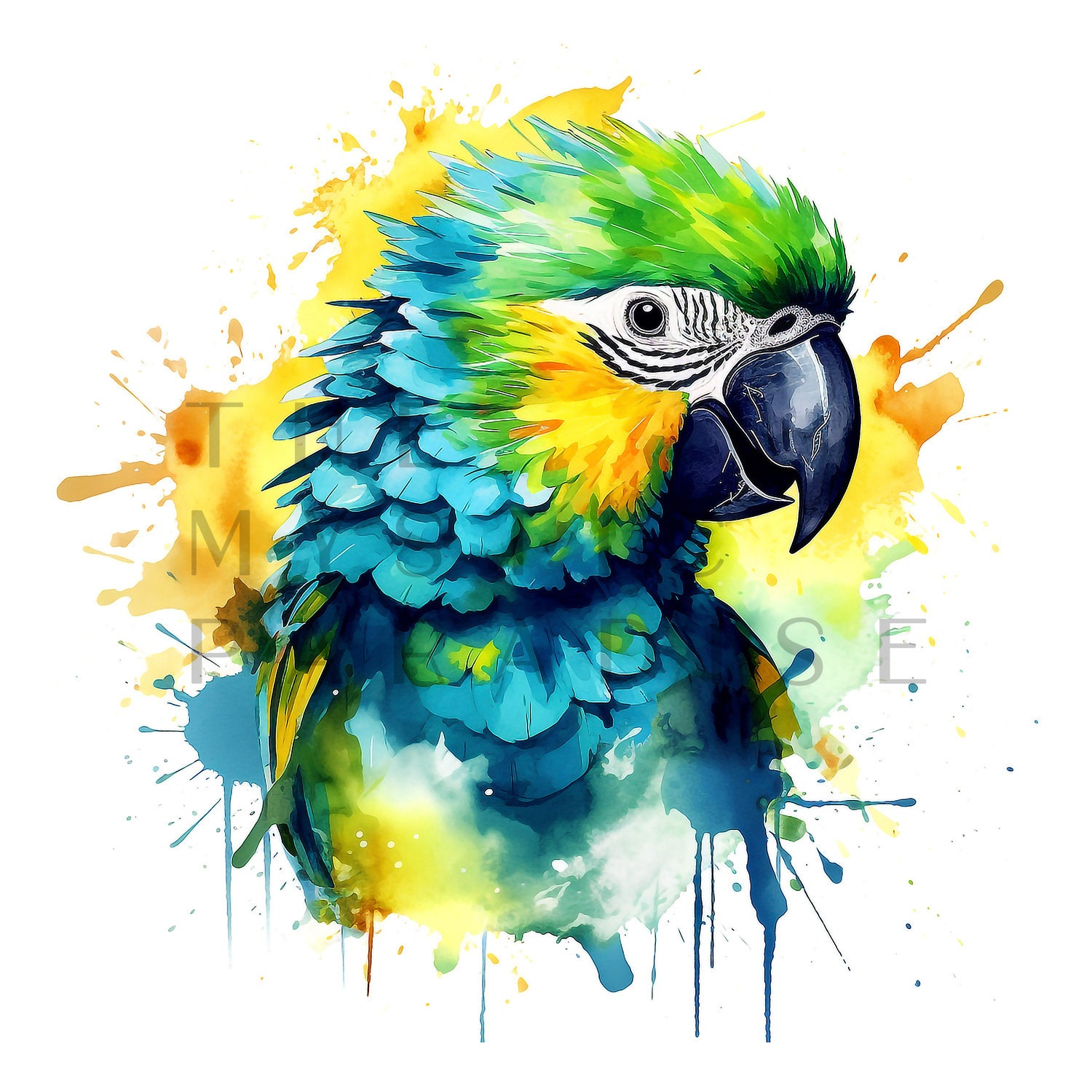 Colorful Parrot Clipart, Set of 10 JPG High Quality Watercolor Clipart ...
