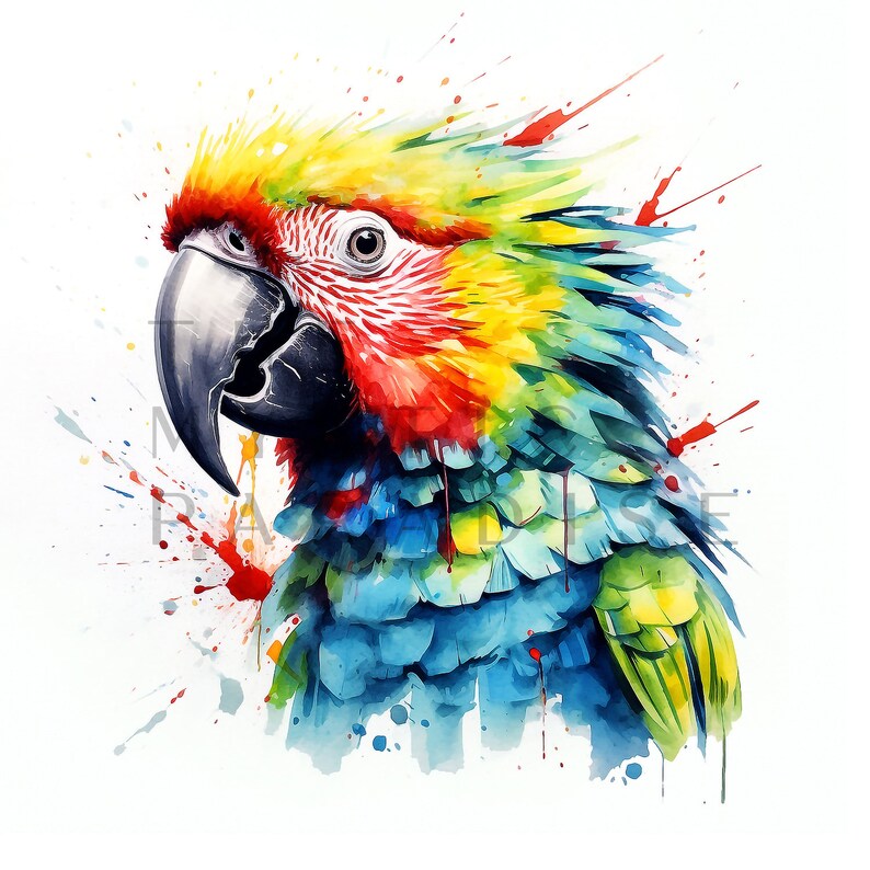 Colorful Parrot Clipart, Set of 10 JPG High Quality Watercolor Clipart ...