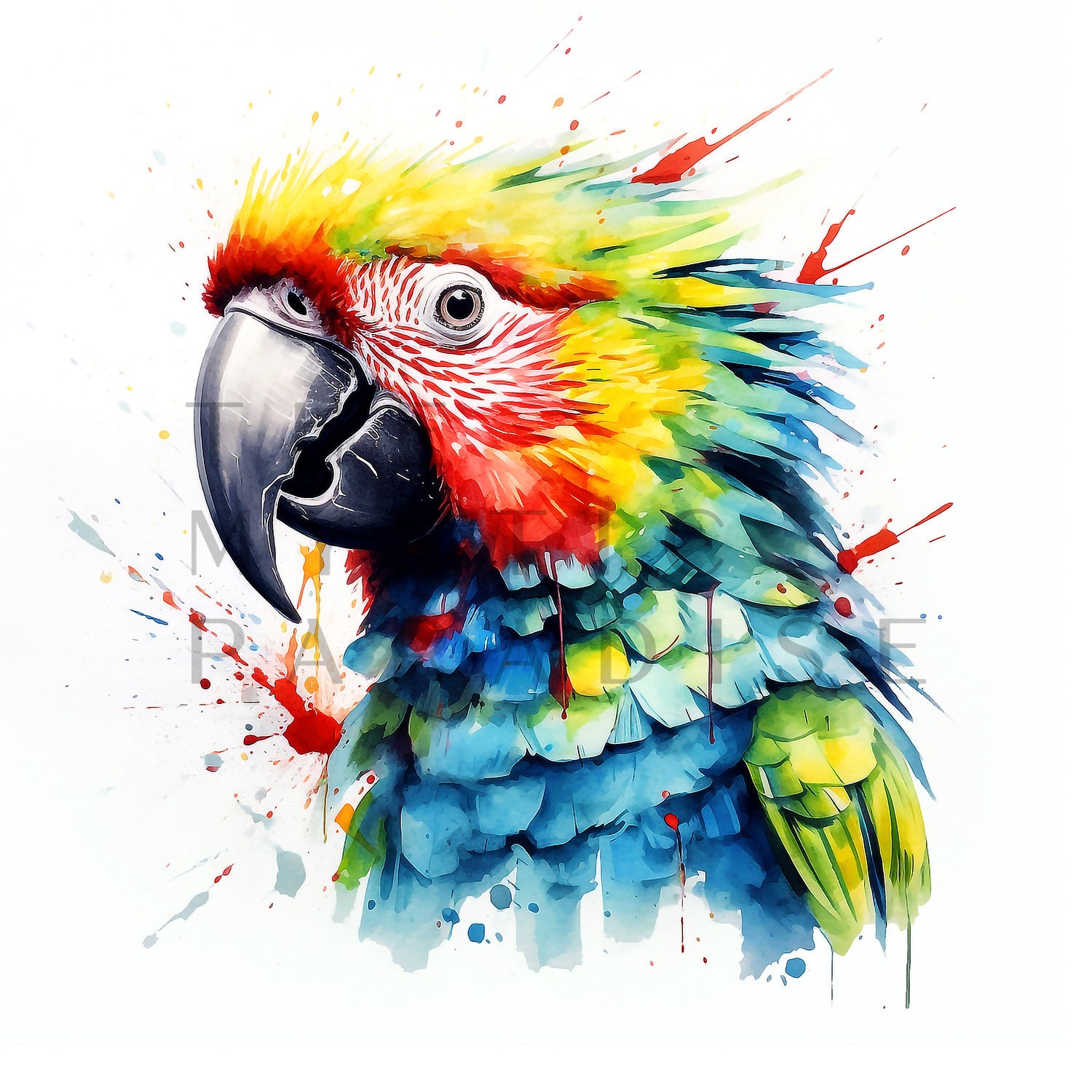 Colorful Parrot Clipart, Set of 10 JPG High Quality Watercolor Clipart ...