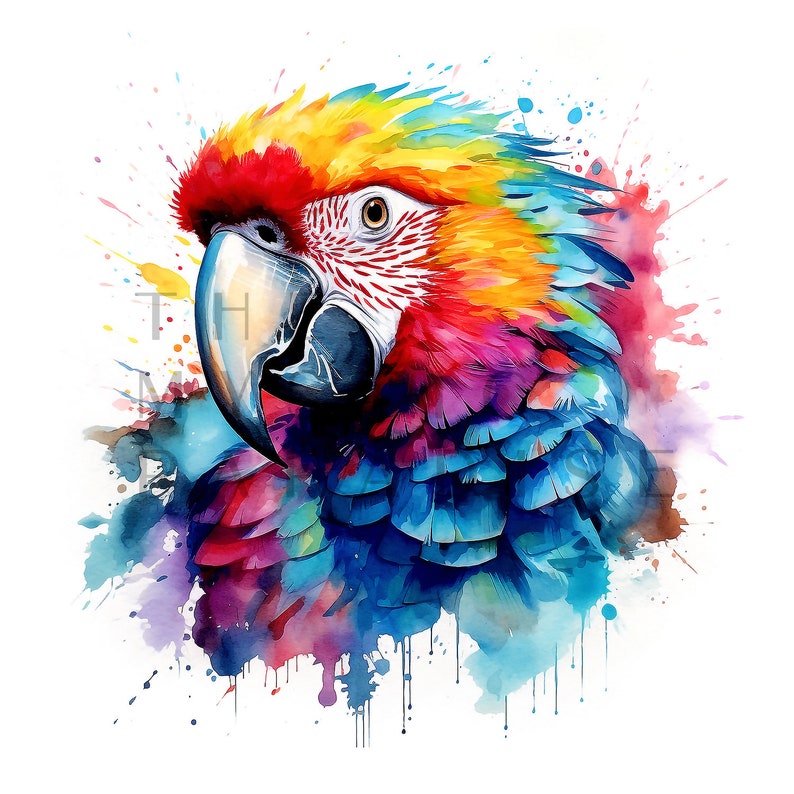 Colorful Parrot Clipart, Set of 10 JPG High Quality Watercolor Clipart ...